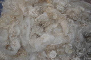 PamsFiber from Dream Come True Farm: My method of washing a fleece