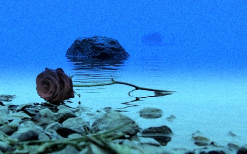 Requiem Para El Poeta