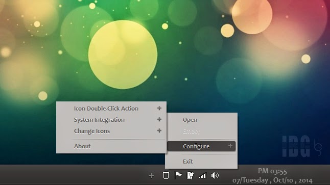 The Quick Access Recycle Bin - IBG