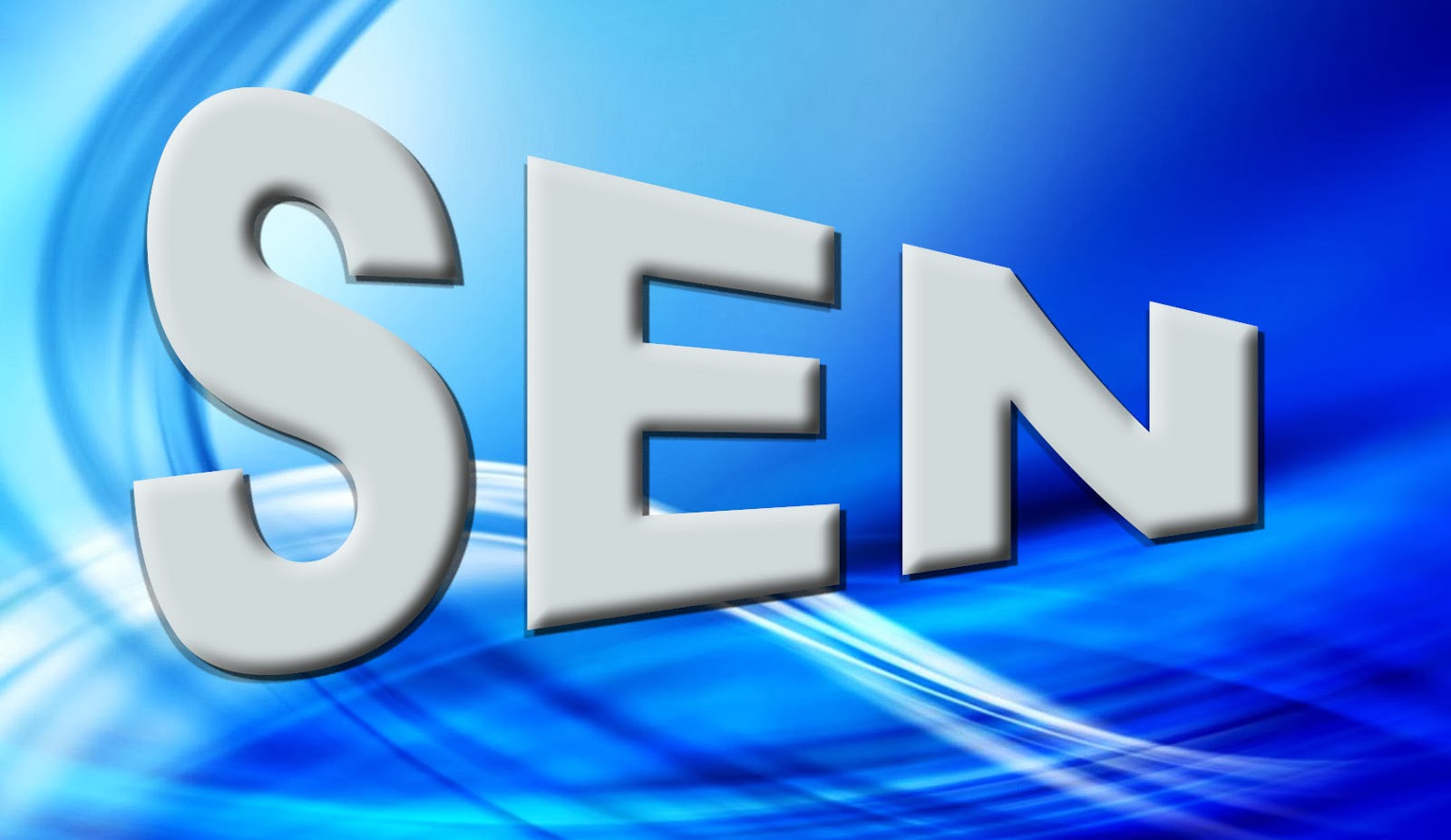 50173581 Joe Mander Level 3 TV and Film: SEN Logo Design