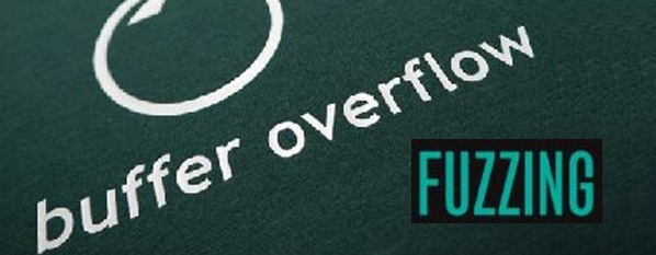 Pentesting Con Kali Vii Buffer Overflow Fuzzing Sniferl4bs