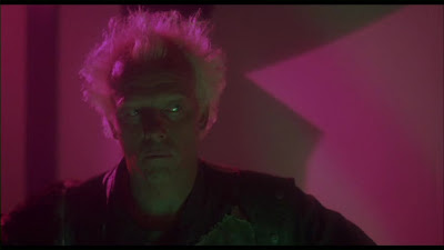 Worth a watch for fans of lower end action films.