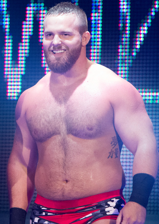 Beefcakes of Wrestling: Transformers : Dash Wilder