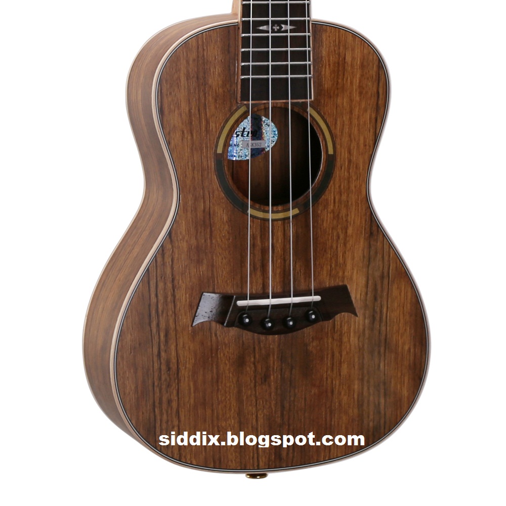 8 Jenis Kayu yang Digunakan Untuk Membuat Gitar Akustik - Siddix