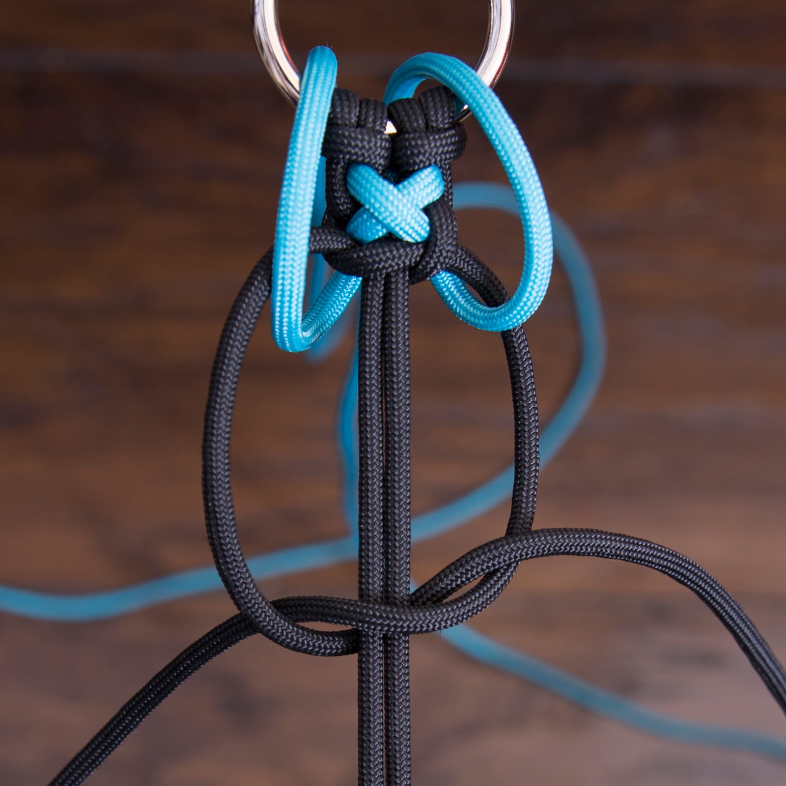 Knotenblog: Solomon Criss Cross