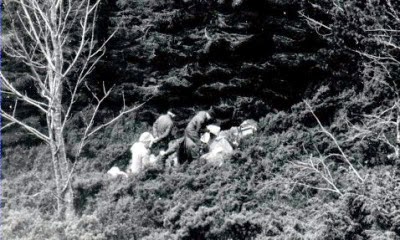 Real Life Is Horror: The Isdal Woman