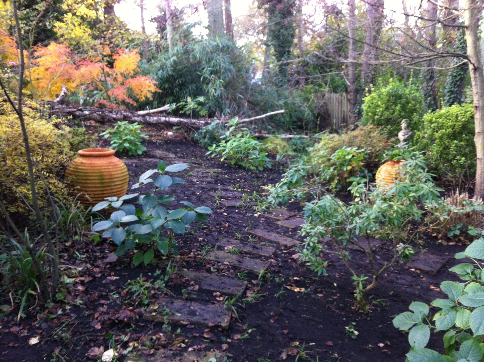 Ben Lowry: Clearing the marsh garden