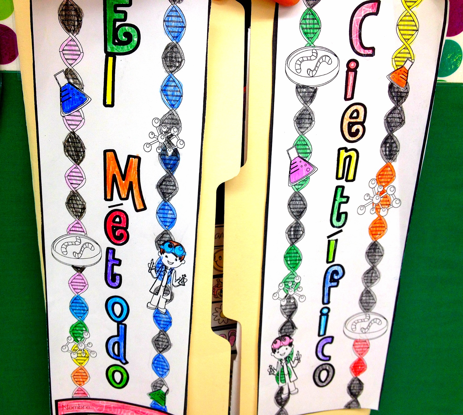 El Metodo Cientifico (Scientific Method) Lapbooks - FlapJack
