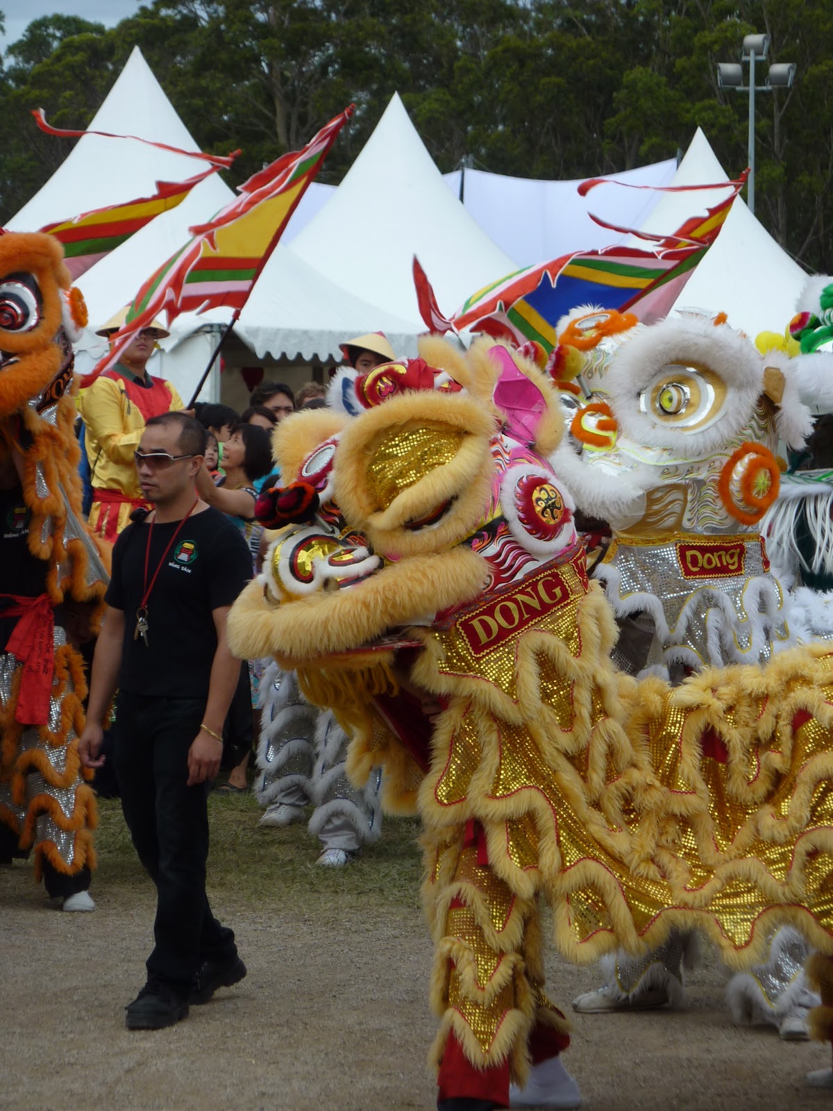 A Book About Cambodia: Lunar New Year Festival (Cho Tet), Fairfield