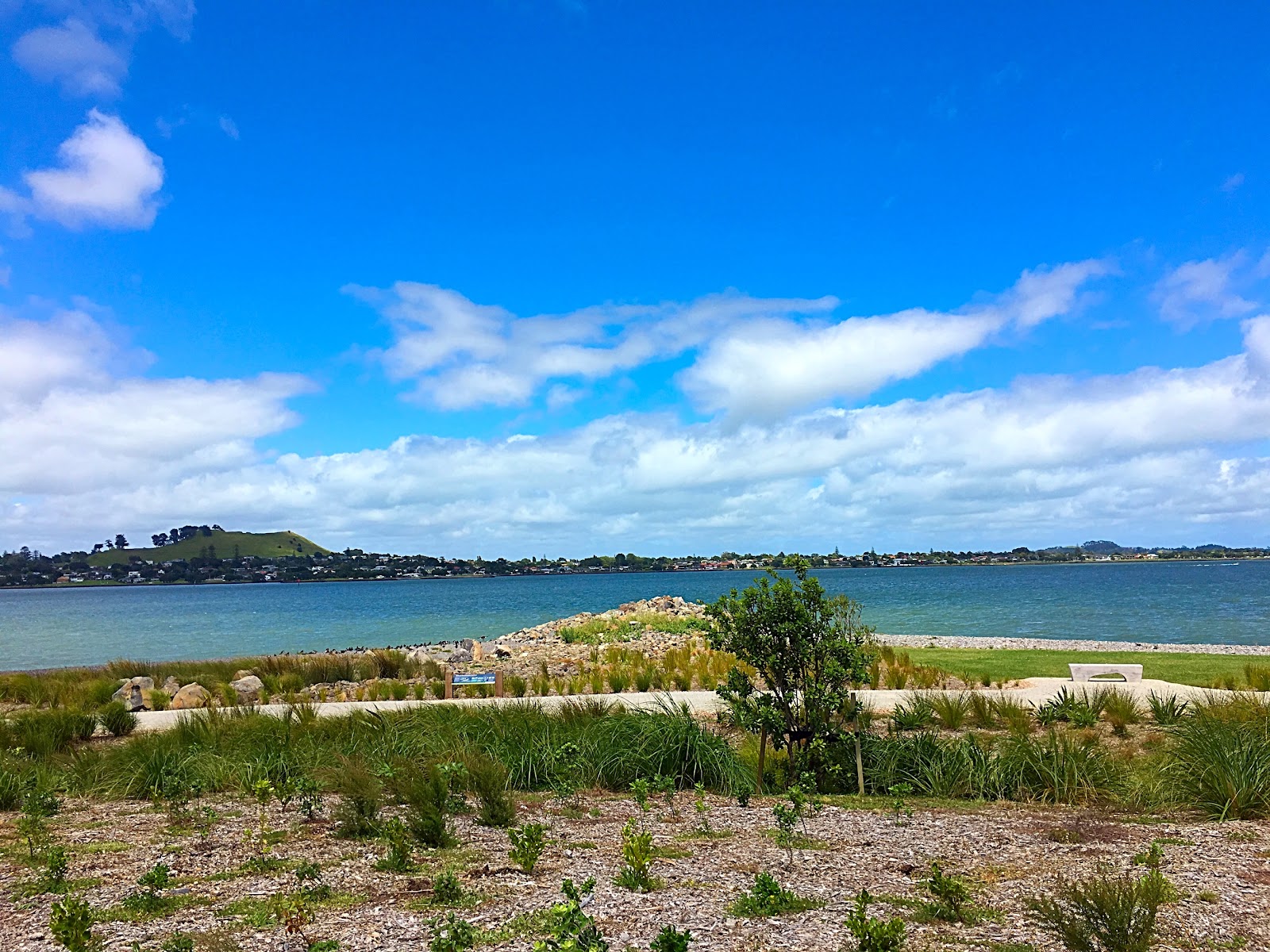 The Disappearing Blogger: THINGS TO DO IN AUCKLAND: ONEHUNGA BAY RESERVE