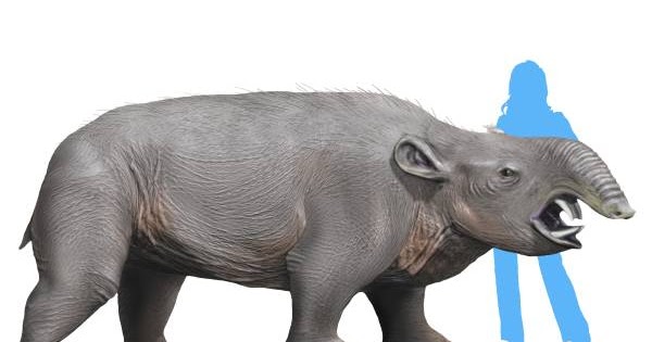 Extinct Animal of the Week: Fire Beast Cometh