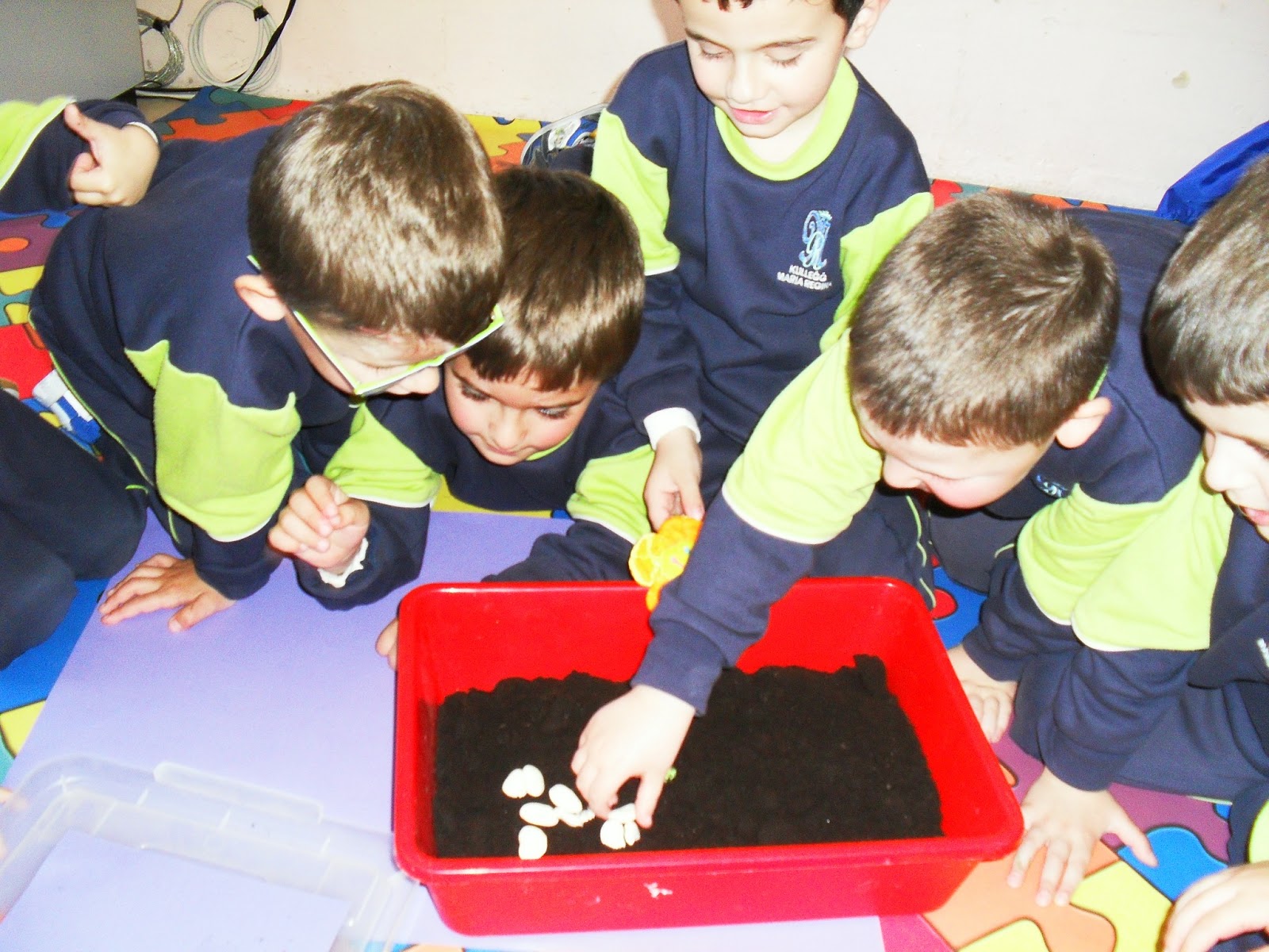 Kindergarten 2.1: Storybook 'Ten Seeds' by Ruth Brown