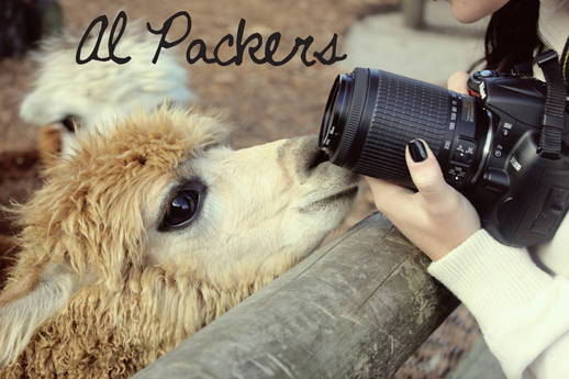 The Artistic Corner: Symbio Wildlife Park