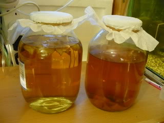 My Aqualogue: Fish Food (Live & Commercial)