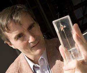 Suburban spaceman: Hubble movies reveal solar-system-sized traffic jams