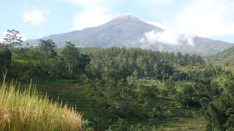 Wisata Pacet Mojokerto: pusat oleh-oleh wisata pacet mojokerto
