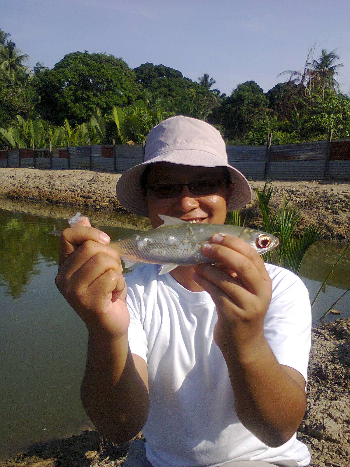 Mancing Sampai Pengsan: Renangan Torpedo Si Ikan Susu