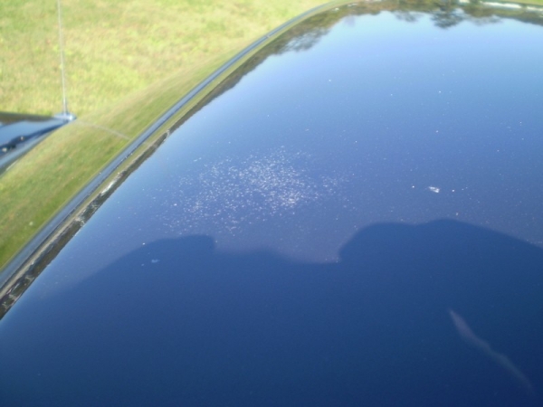 TOGWT: Radiation Damage and Ultra Violet (UV) Protection