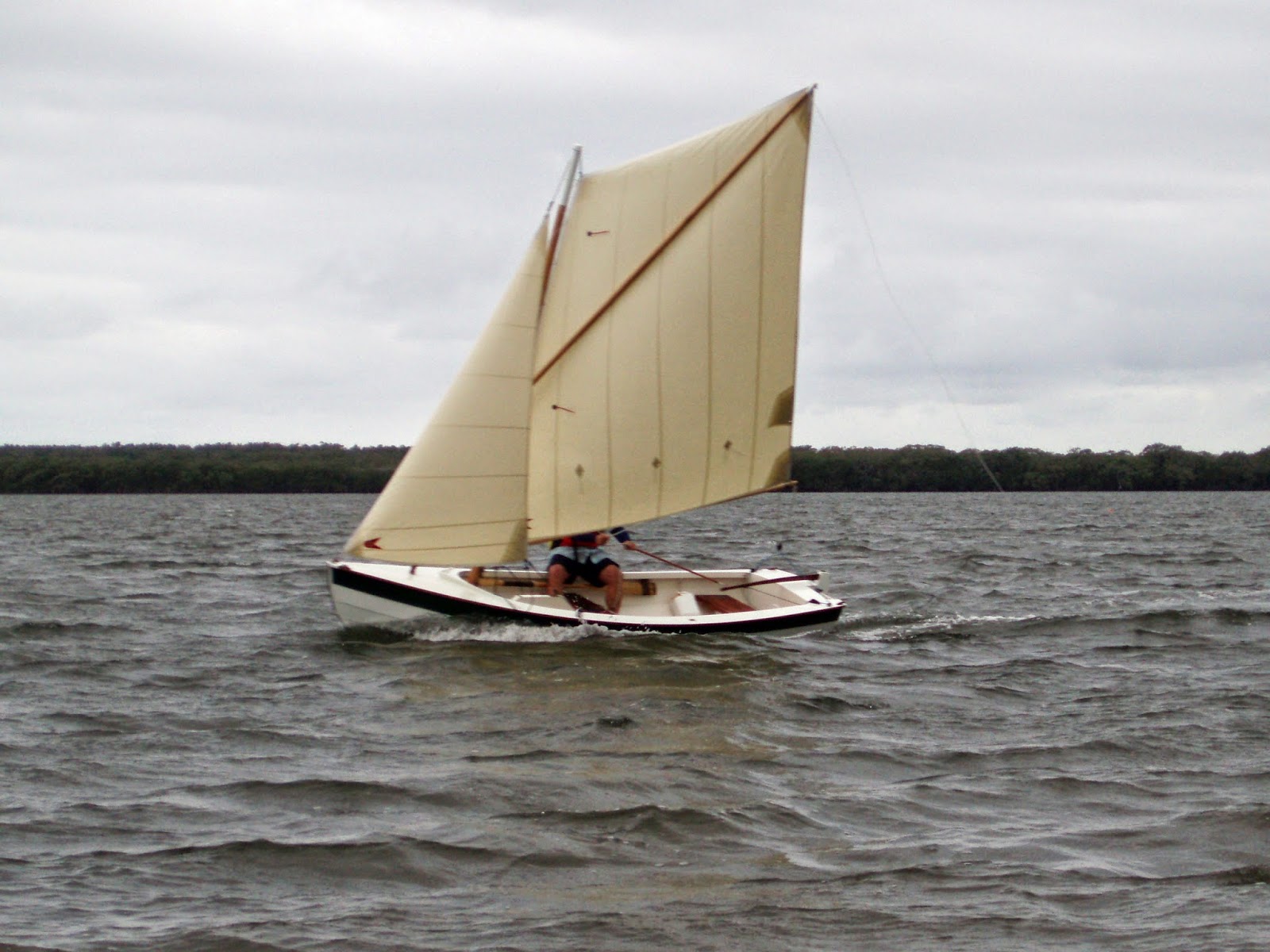 Looking for sails for Newport Surprise | SailingForums.com