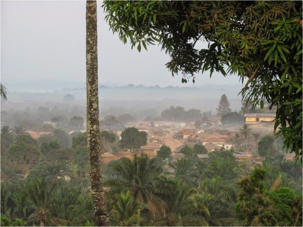 A Volunteer's Experience in Liberia - African Farmers Oil Palm ...