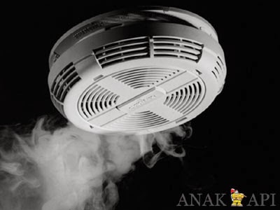 Mengenal Jenis Sensor Pemadam Kebakaran | Anak Api | Informasi Alat ...