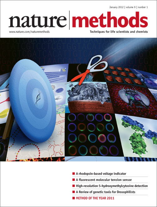 Erin B Dewalt : Method of the Year Cover Illustration