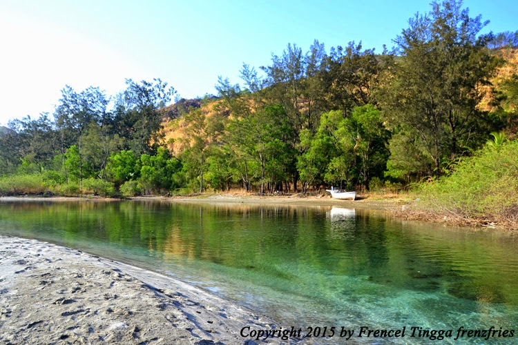 Frenz Fries: Silanguin Cove