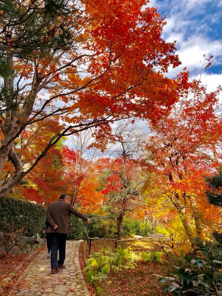 Emiko & Wilson's 生活小珍藏: 2017