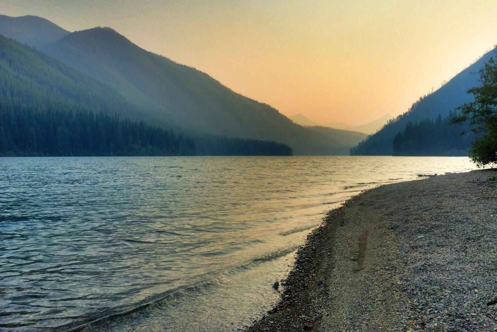 Rambling Hemlock: Harrison Lake in Glacier