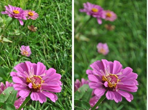 The Top 7 Causes of Blurry Photos and how to fix them