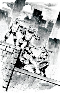 TMNT Entity: Awesome Turtle Picture #020