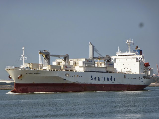 Scheepvaarthoek: Pacific Reefer