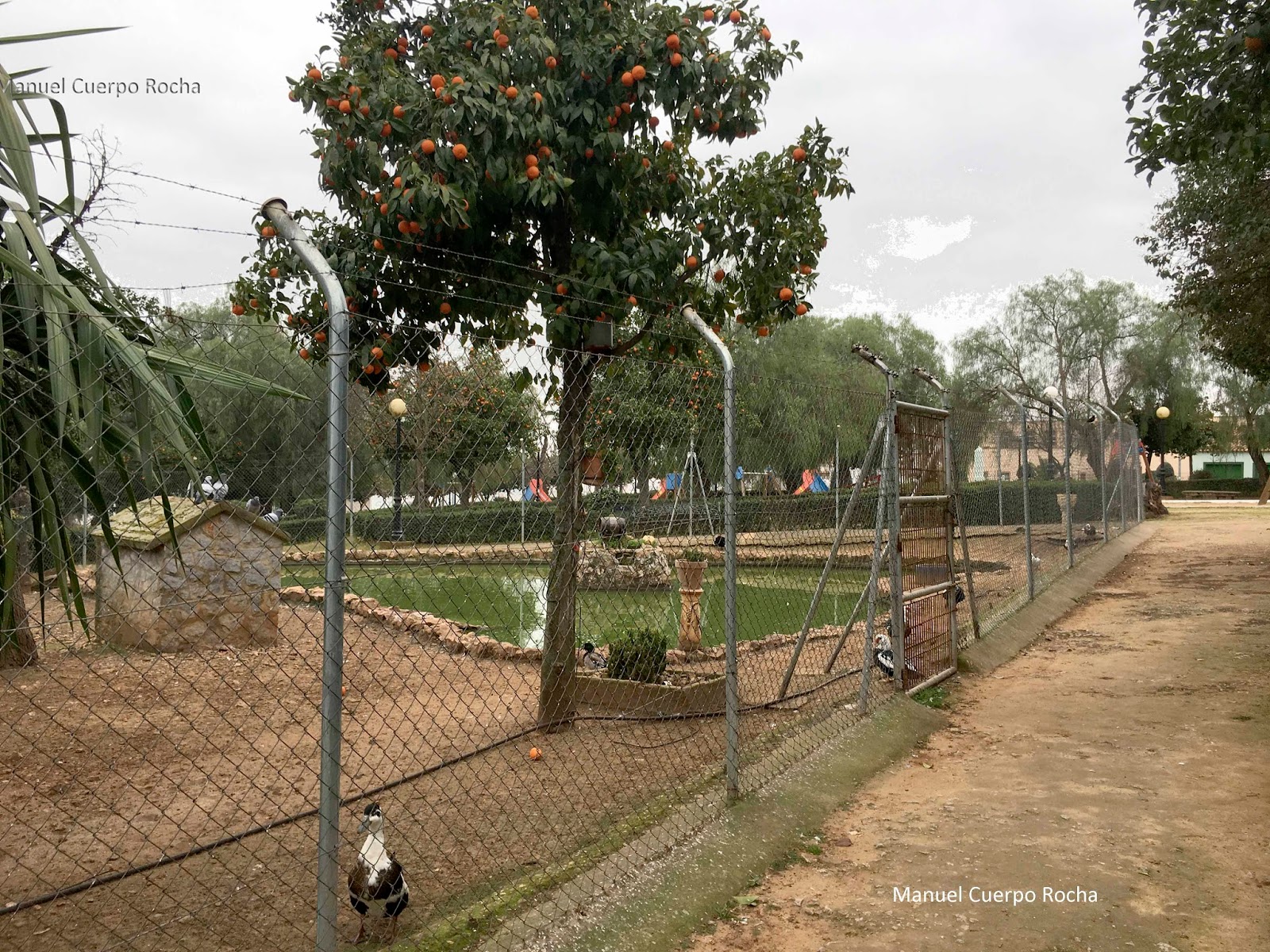 PARQUE MUNICIPAL DE MONTIJO: 5.PARQUE MUNICIPAL. ORNAMENTOS E ...