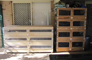 All Things Guinea Pig: Caviary Setup