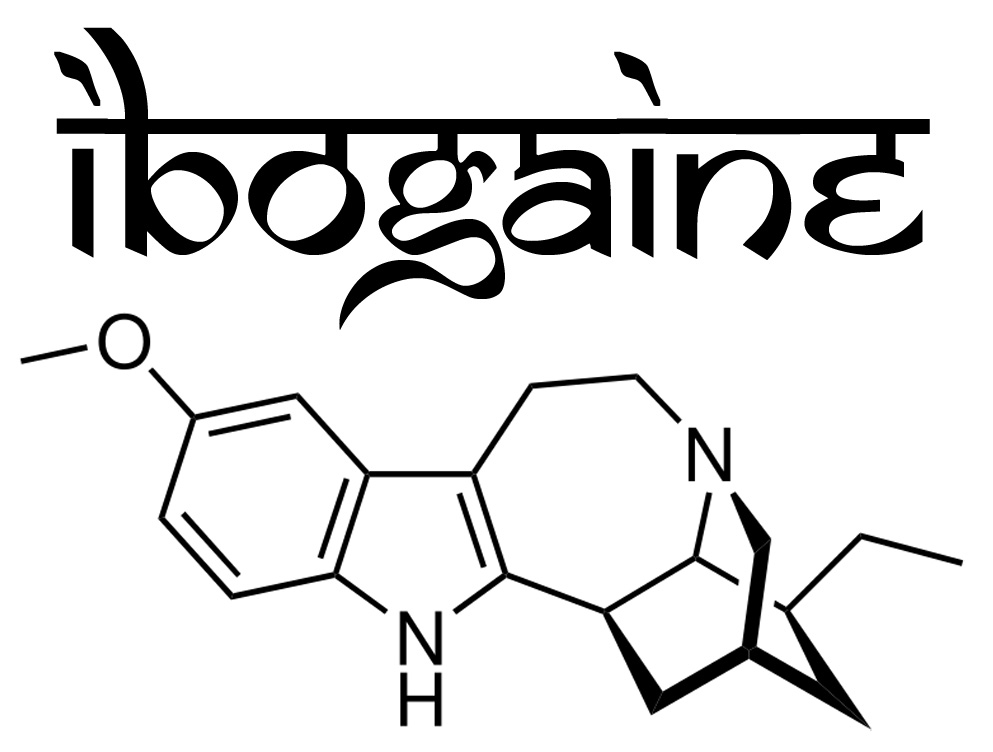 Ibogaine Therapy and the Opioid Epidemic - Psychedelic Adventure