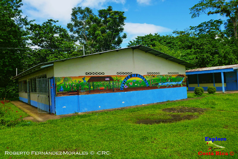 Palenque Margarita -San Rafael de Guatuso, Alajuela- | Explore Costa Rica