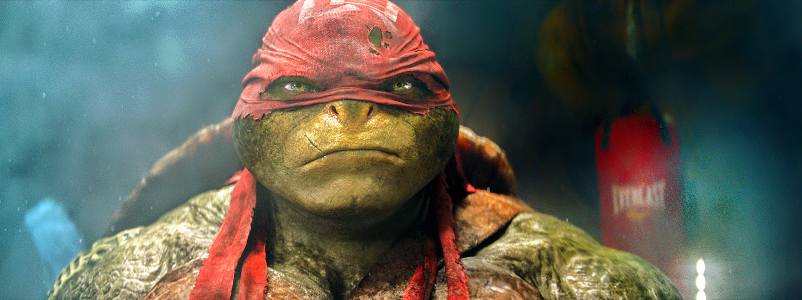 La Nuez: Tortugas Ninja, perfil