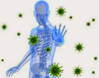 RANGKUMAN SISTEM KEKEBALAN TUBUH (IMUNITAS) | ALL ABOUT KNOWLEDGE