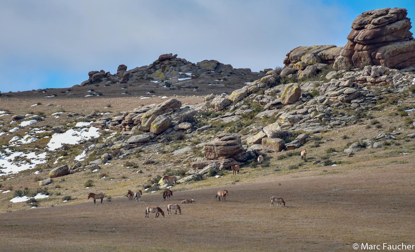 World Travel - Marc & Peggy Faucher: The Takhi Return Home