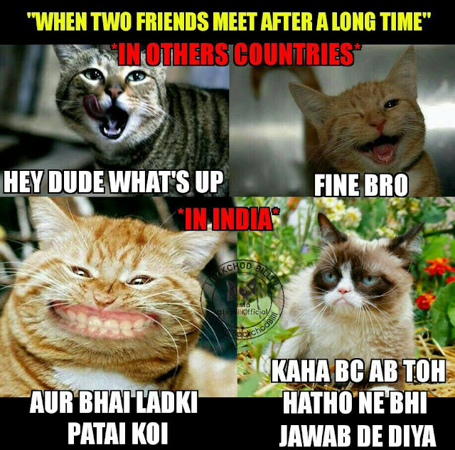 10 Bakchod Billi Memes that will make you LAUGH OUT LOUD - Inglish Baba ...