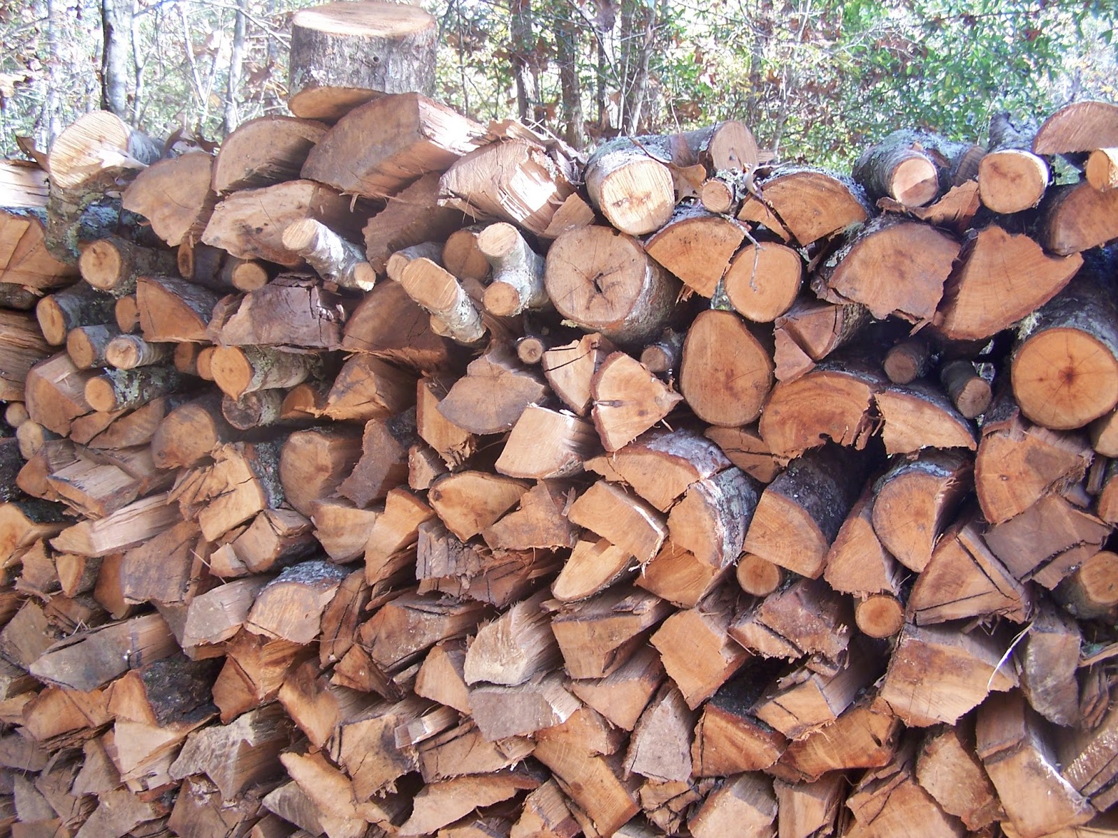 The Cabin On Huckleberry Hill: Trains And Things