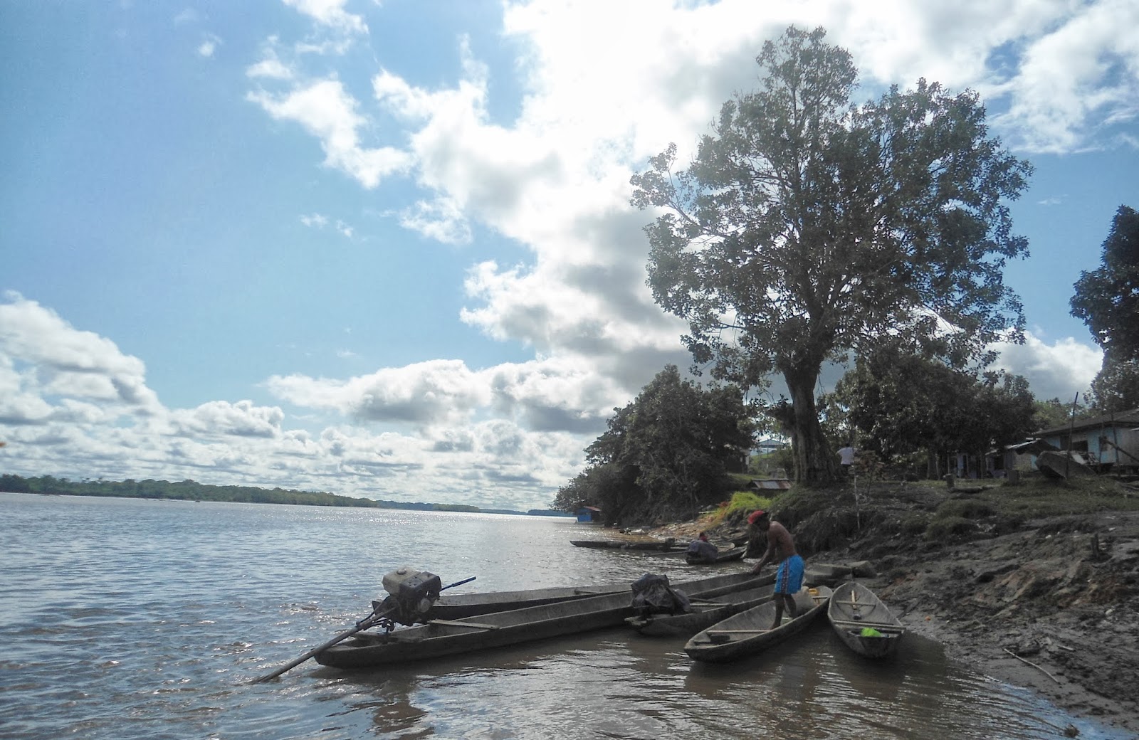 Provenzani Diario: Un viaje por la Amazonia con una bicicleta...