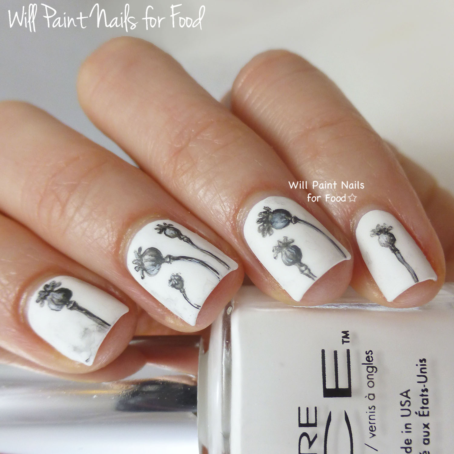 The Digit-al Dozen Does Nature, Day One: Poppy Seed Pods | Will Paint ...