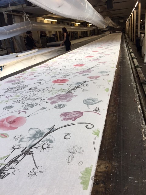 Ivo Prints and The Kew Collection