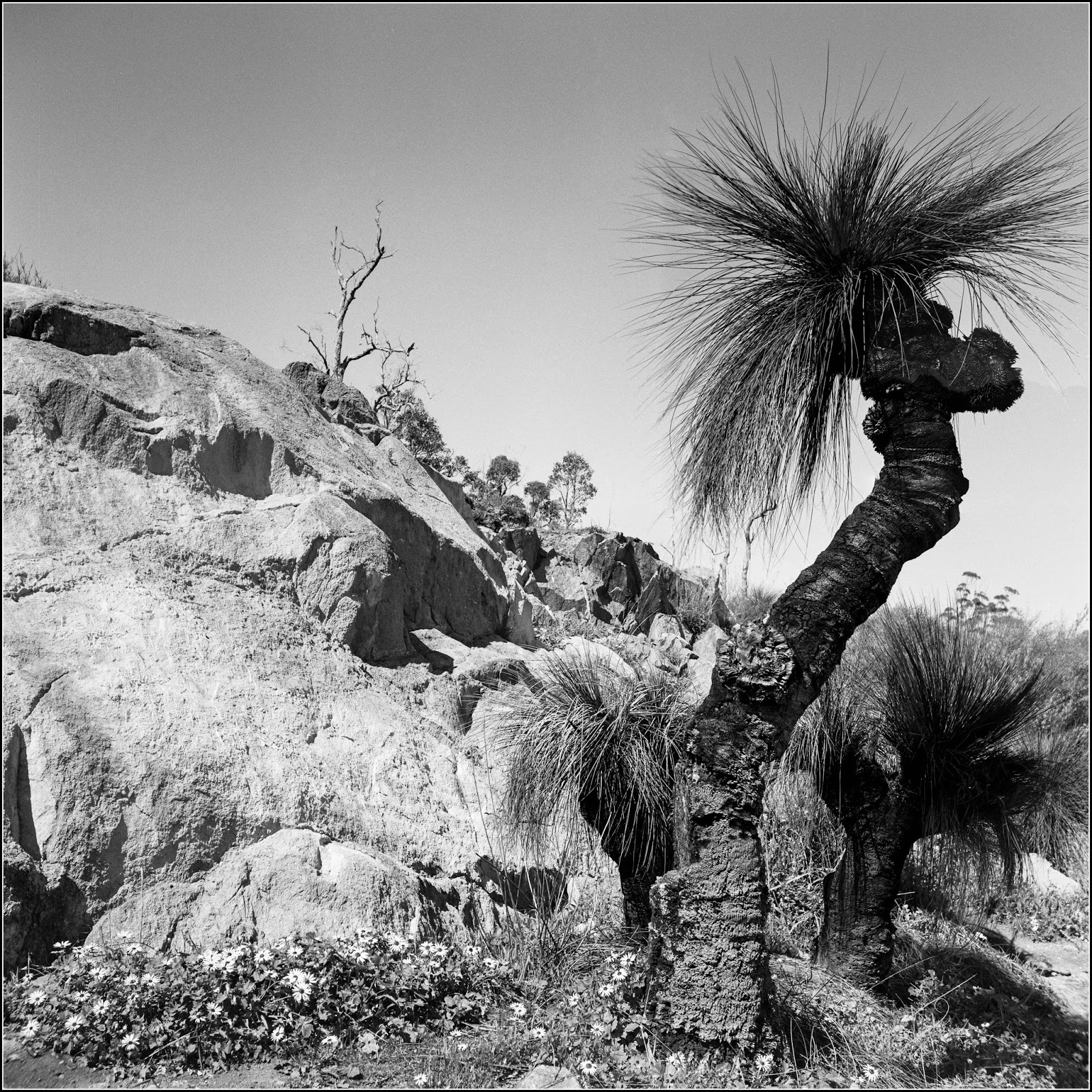 Film Photography - it ain't dead yet.: Copying film negatives with a ...