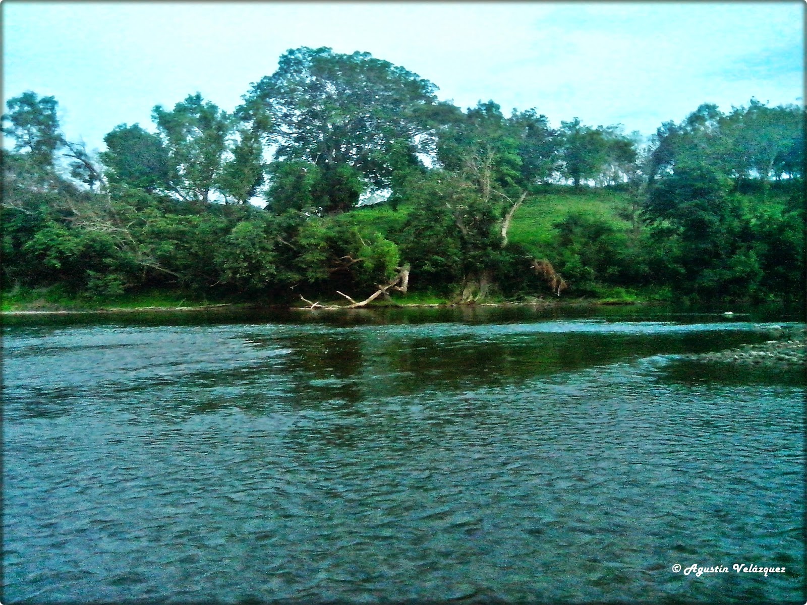 La Web de Tempoal Veracruz: Rio Tempoal en imágenes (Aguacate Terrero)