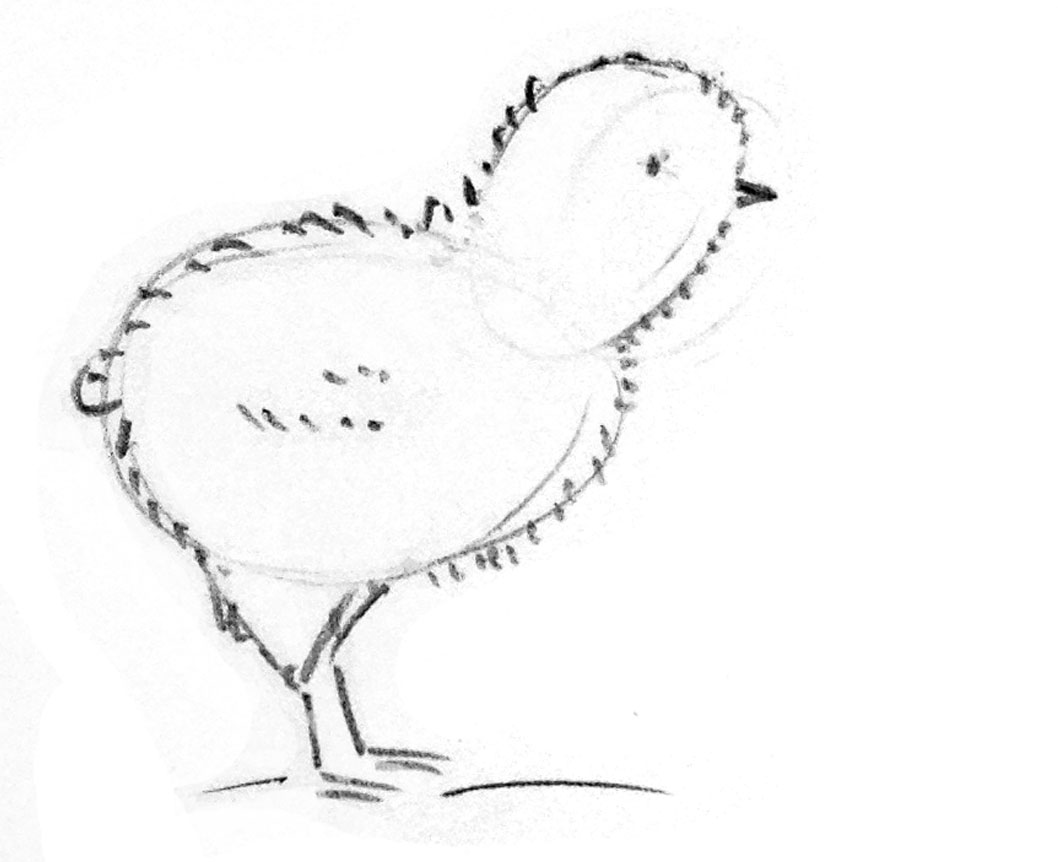 Scratch and Peck: HOW TO DRAW A CHICKEN