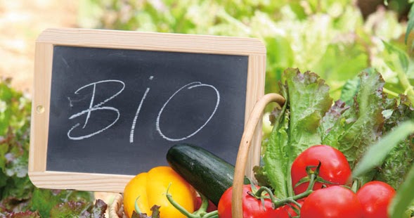 NELLE MENSE PUBBLICHE SICILIANE SOLO PRODOTTI BIOLOGICI E A KM 0 ...