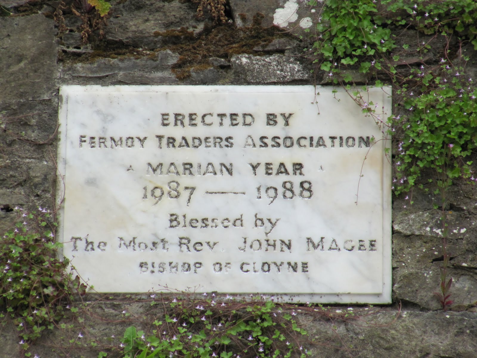 marianireland: The car park outside the library, Fermoy, Co. Cork.