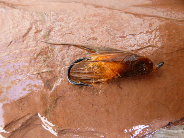 SOFT~HACKLE JOURNAL: October Caddis~Soft-Hackle Variations SOFT~HACKLE JOURNAL: October Caddis~Soft-Hackle Variations